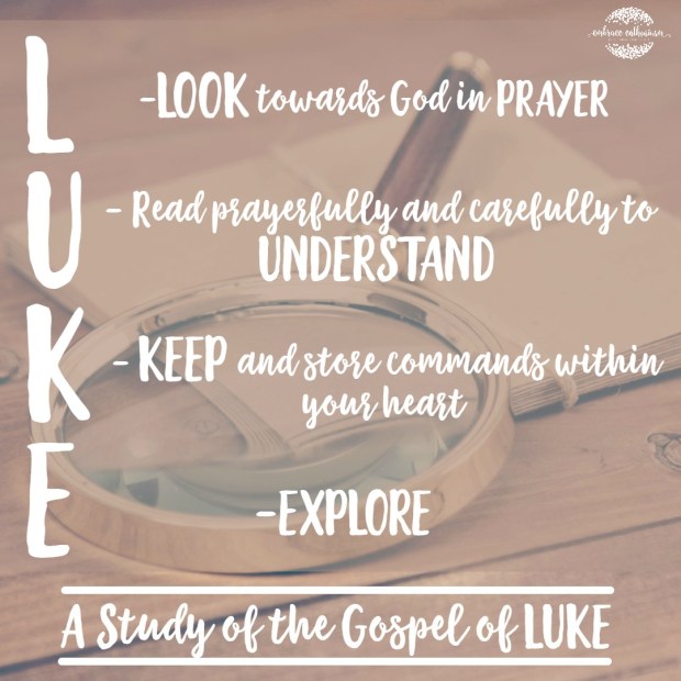 Seek and Believe-A Study of the Gospel of Luke-Scripture Plan