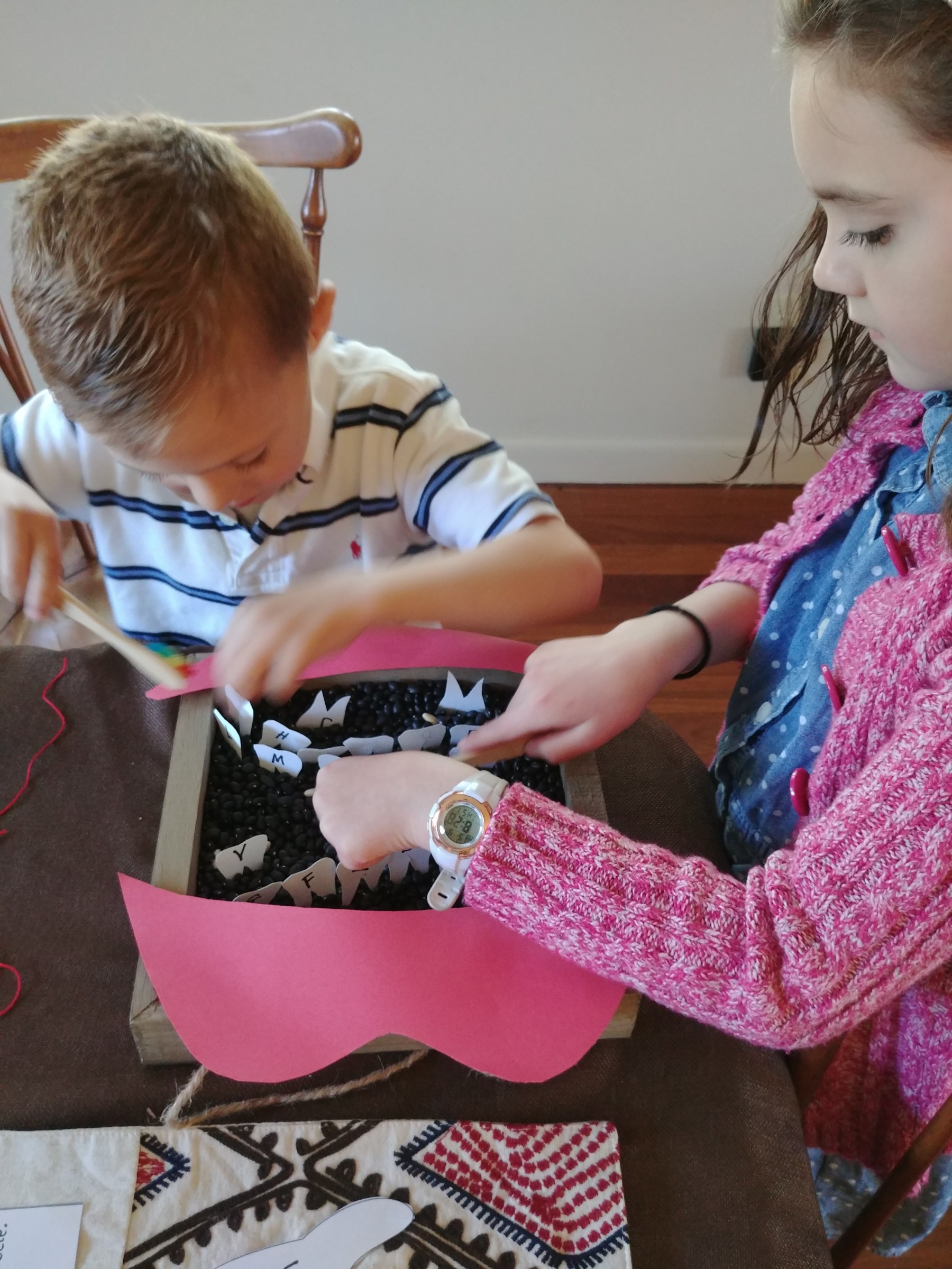 Teeth Unit (K-12 Curriculum Review)- Love at Home Education